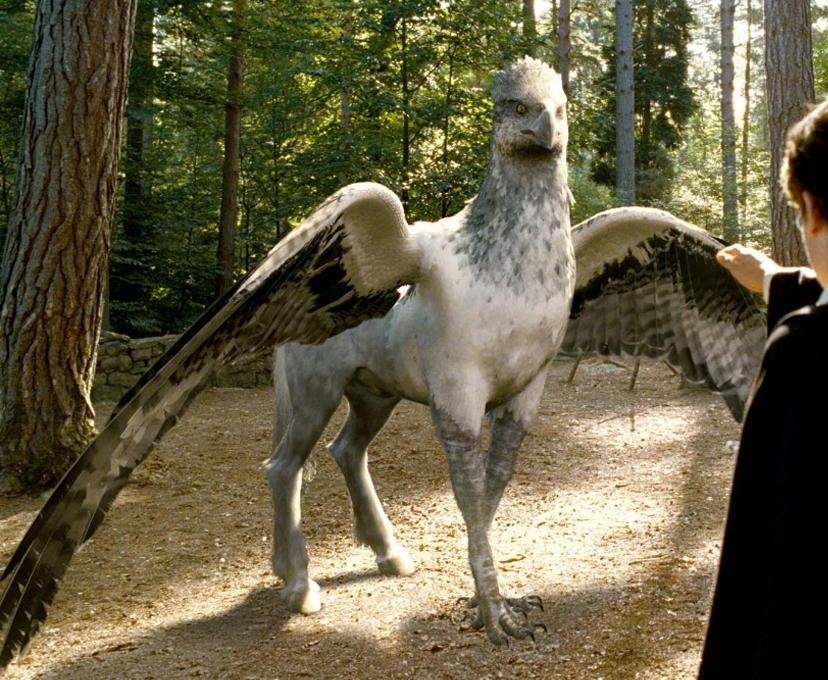 animaux fantastiques d’Harry Potter - Portail animaux de compagnie ...